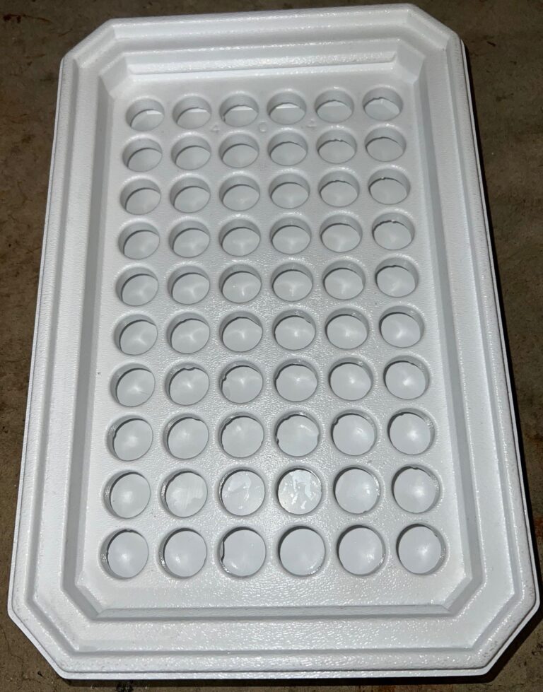 RACHMAN TRAY - Randolph Austin